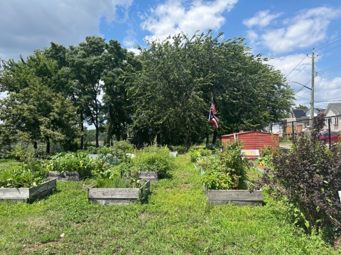 Harding Park Garden Restoration: A Community-Backed Victory in the FY26 ...