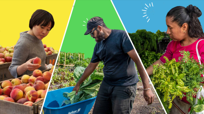 Growing Food Equity in New York City - Data Team