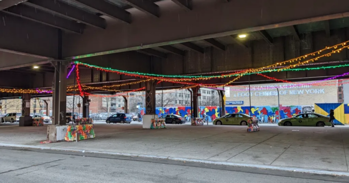 East 125th Street Development Taskforce - Diana Ayala